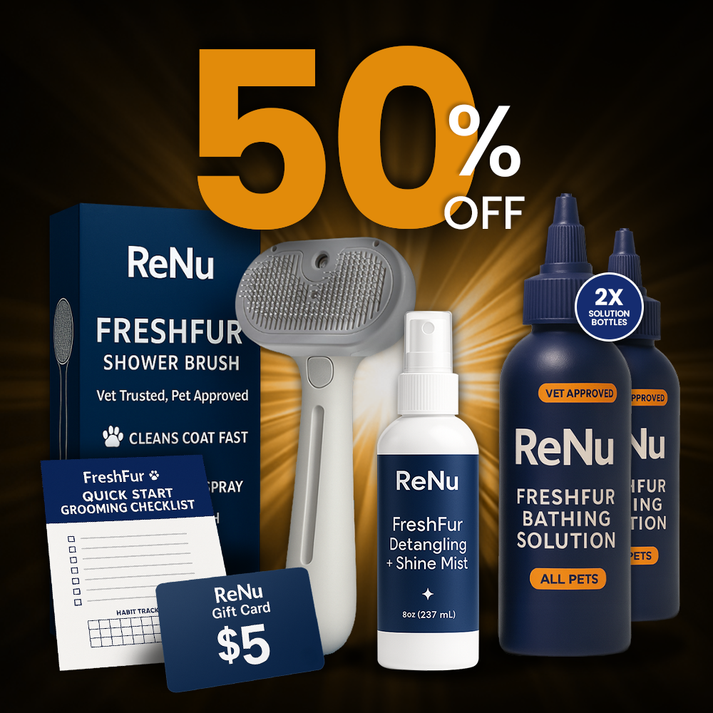 Quick Fresh Kit – ReNu